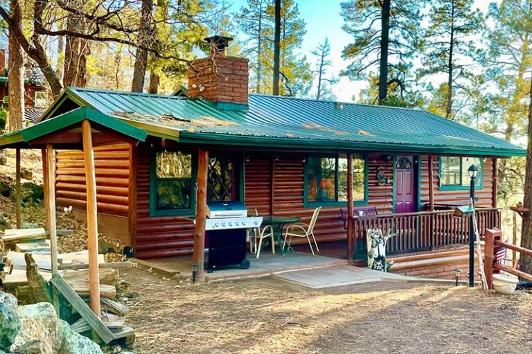 Cabin 2: The Wildlife Cabin - Pinetop Vista Cabins